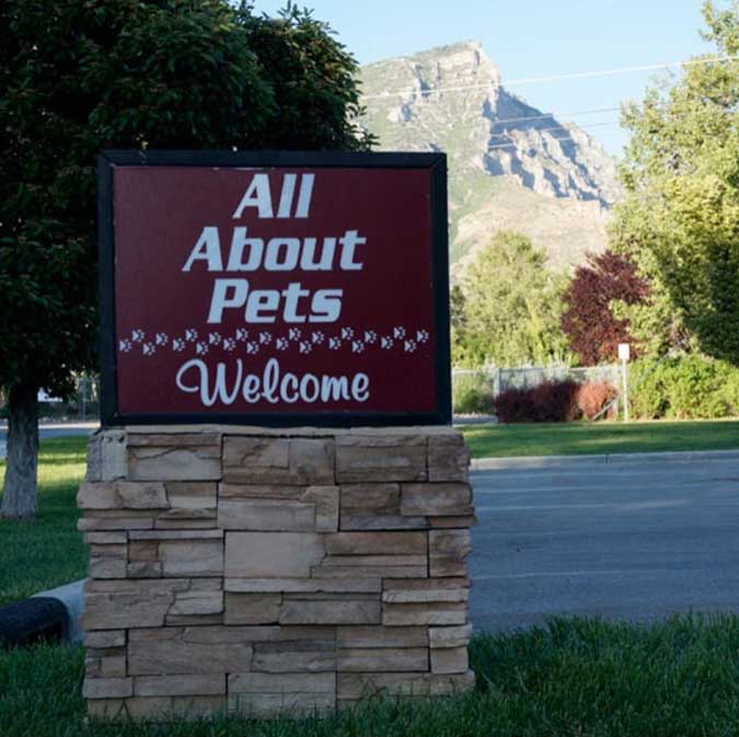 All About Pets Blog | Advice & Pet Care for Animal Lovers